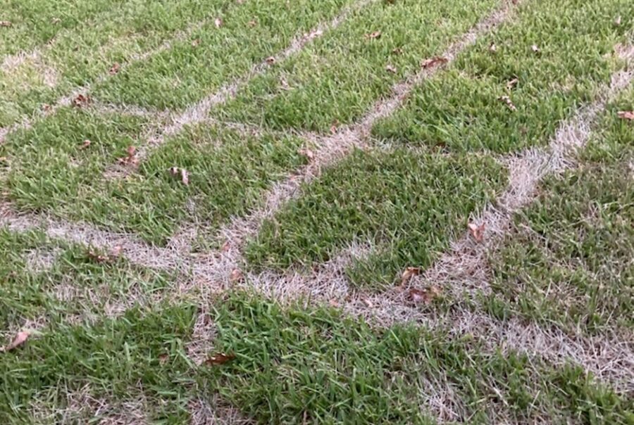 Mow Managers – Lawn Mowing Made Simple.